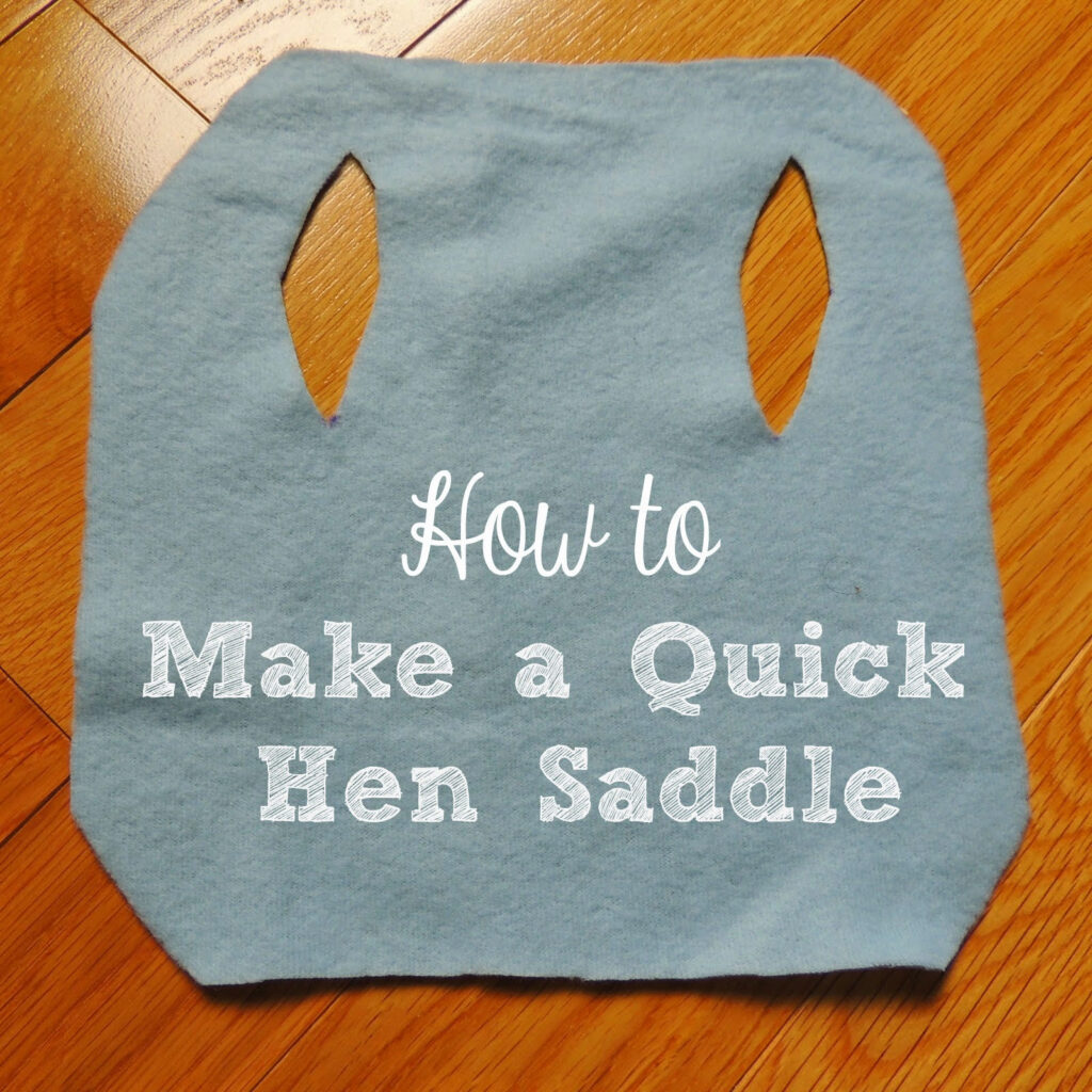 Free Printable Chicken Saddle Pattern – FREE Printable